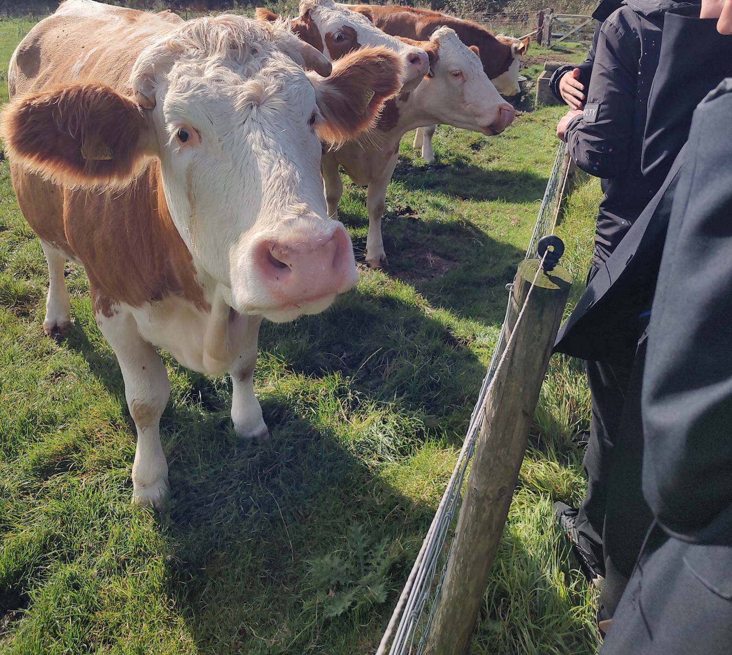 Farm Ed - Dame Elizabeth Cadbury School