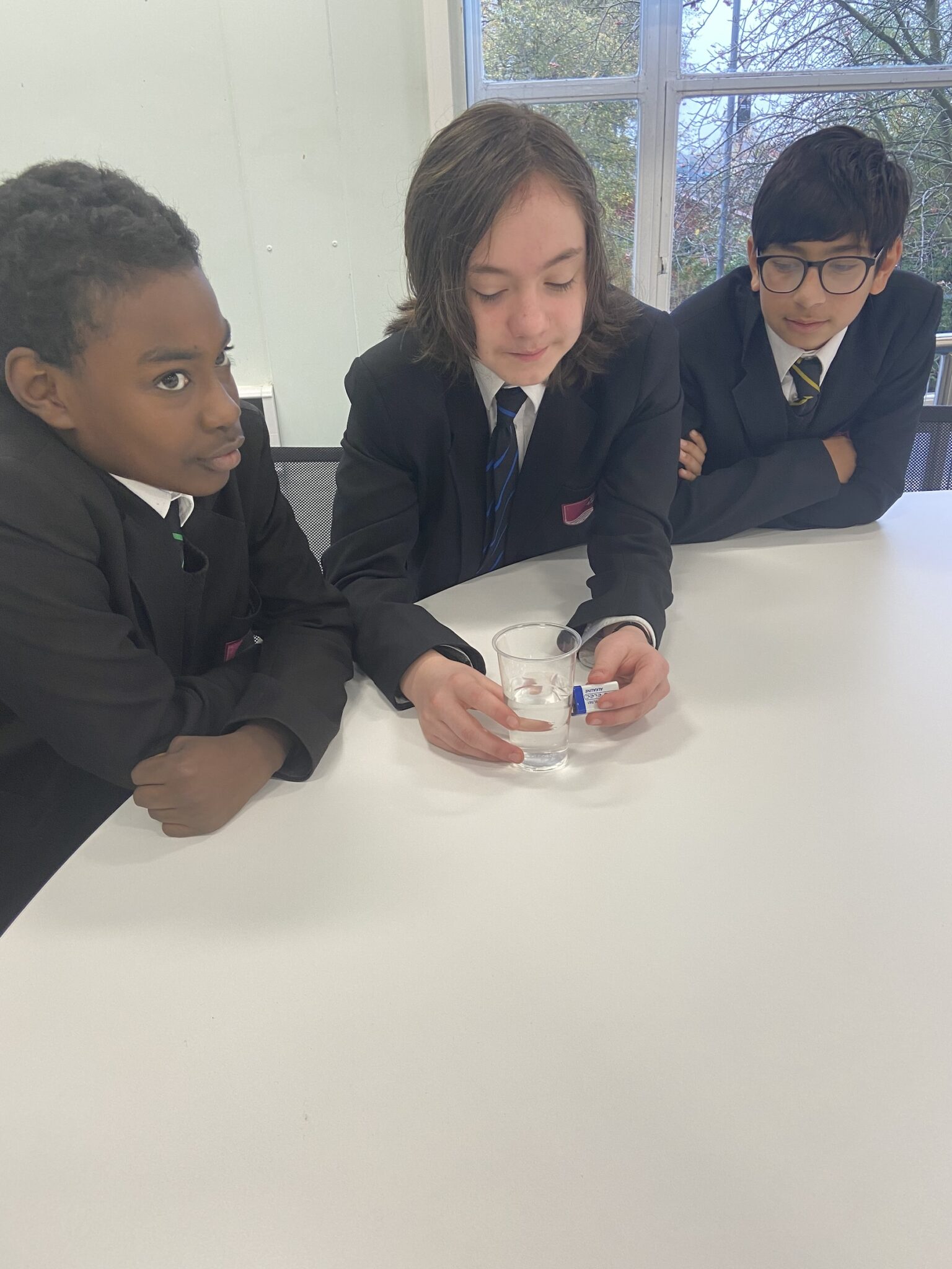 STEM Discovery Day - Dame Elizabeth Cadbury School